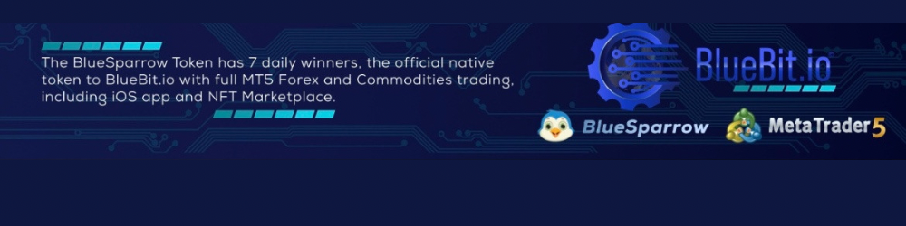 Interview with BlueBit