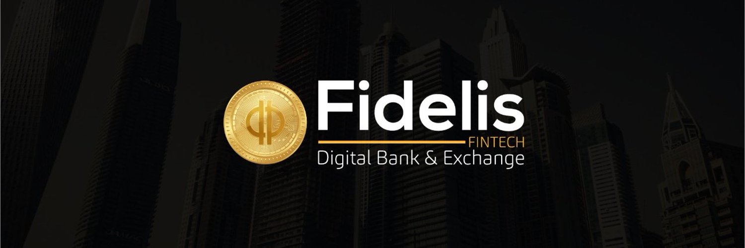 Fidelis Fintech Review